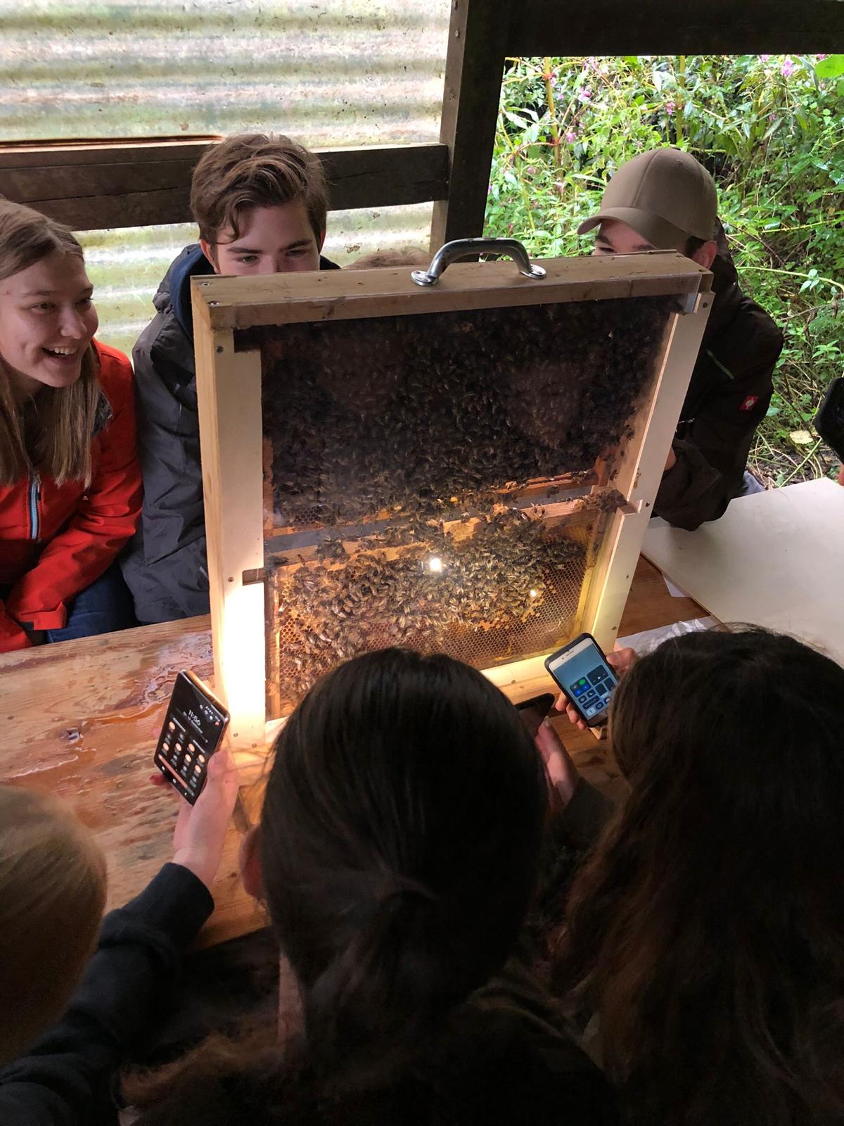 Firmlinge besuchen Imker